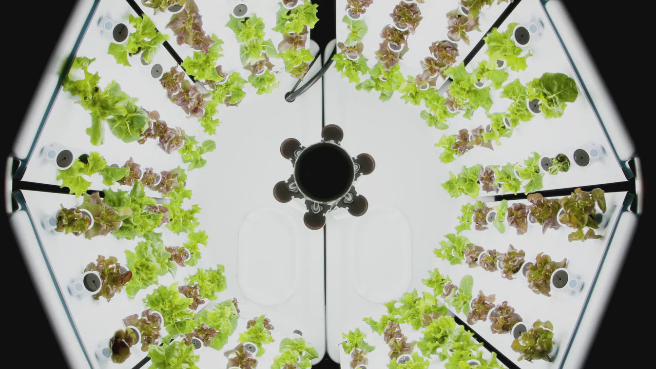 Flex Farm – Fork Farms